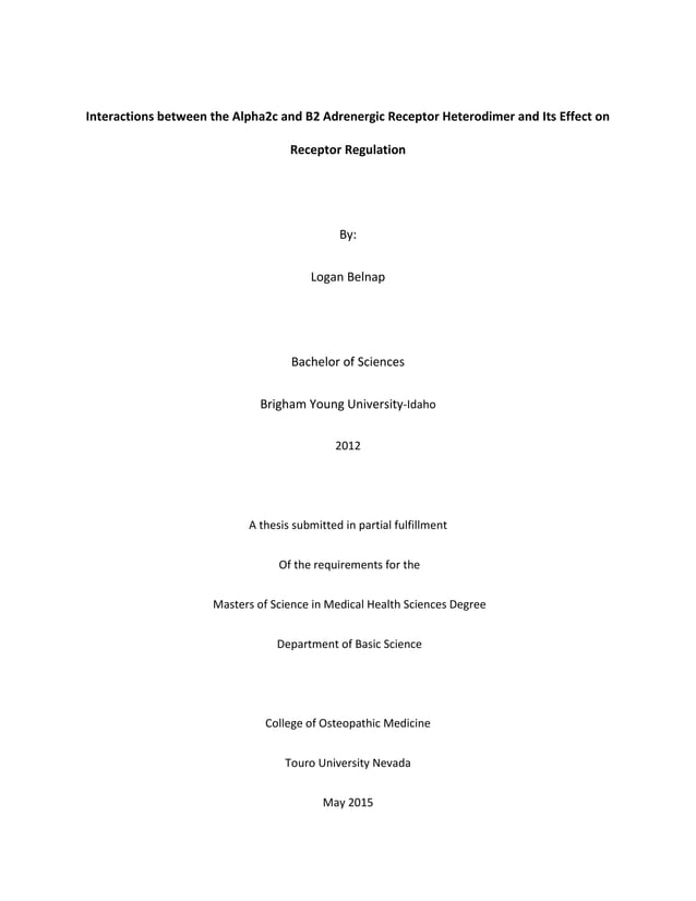 Masters Thesis | PDF