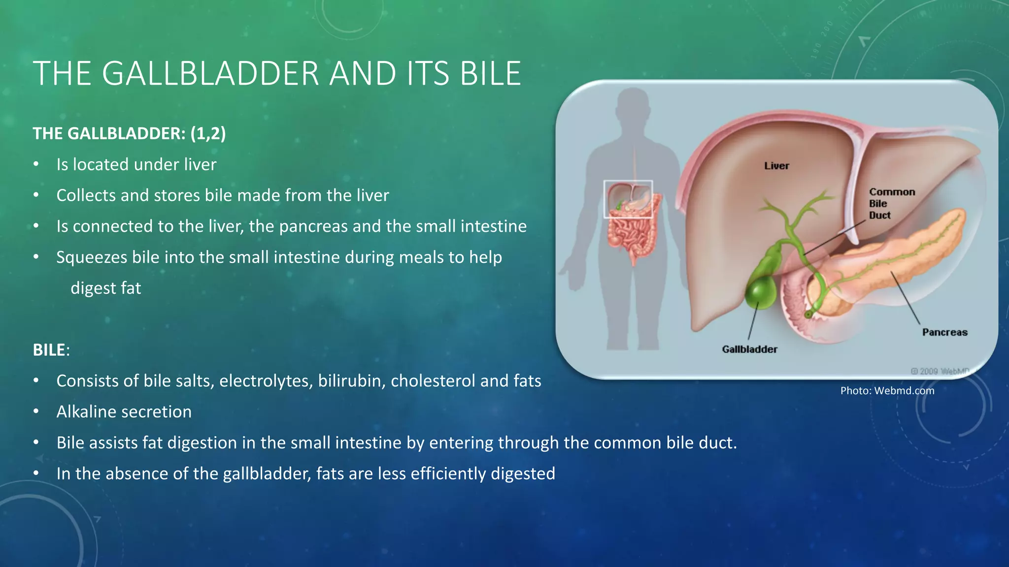 The gallbladder, cholesysitis and acute pancreatitis | PDF | Digestive ...