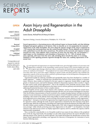 Axon Injury and regeneration in the adult Drosophila | PDF
