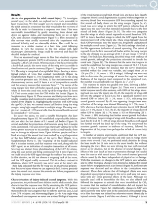 Axon Injury and regeneration in the adult Drosophila | PDF