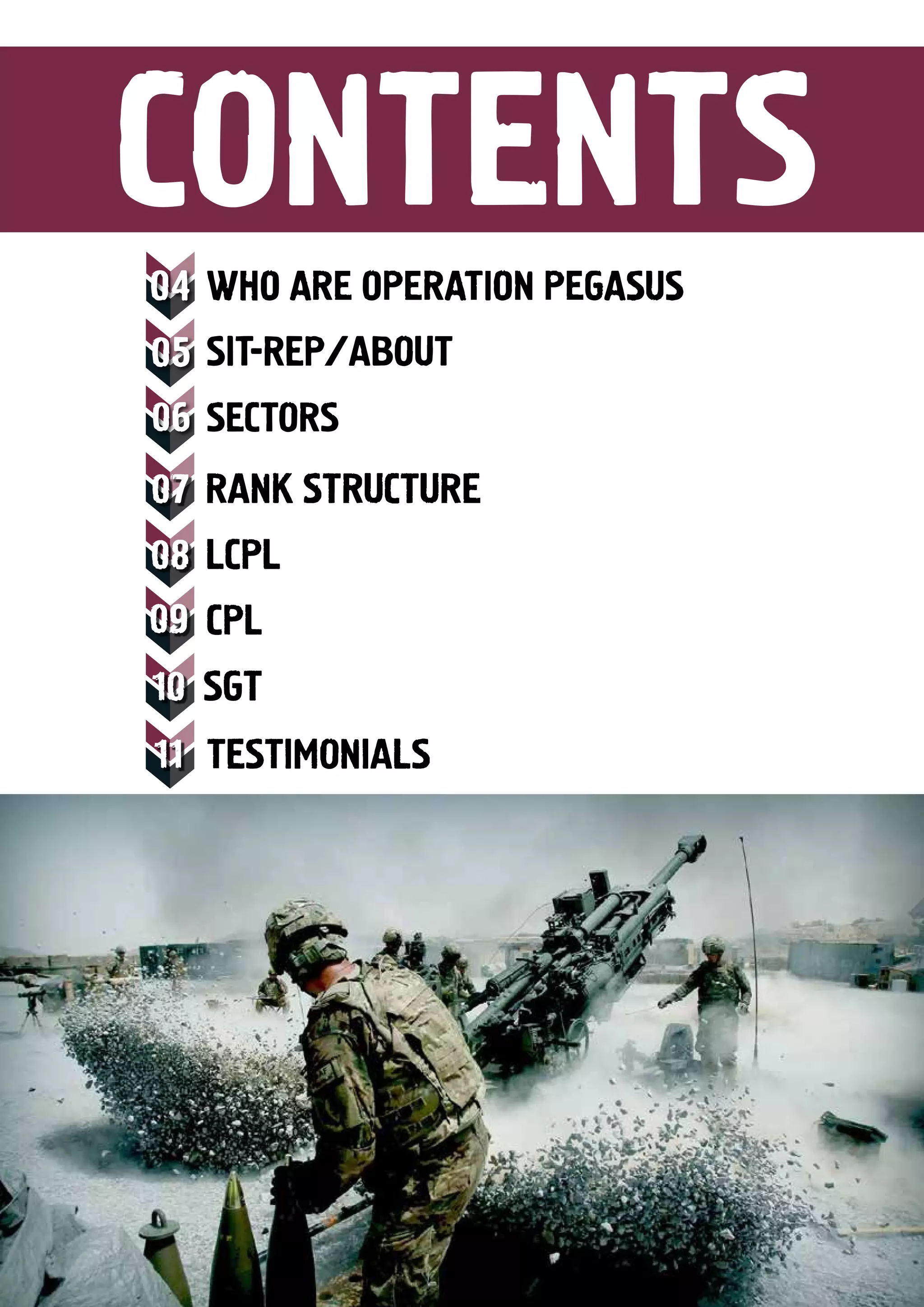 Operation Pegasus Brochure | PDF