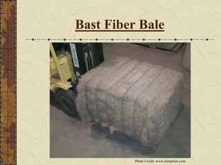 Bast fiber | PPT