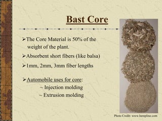 Bast fiber | PPT