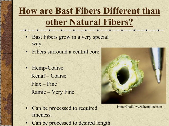 Bast fiber | PPT