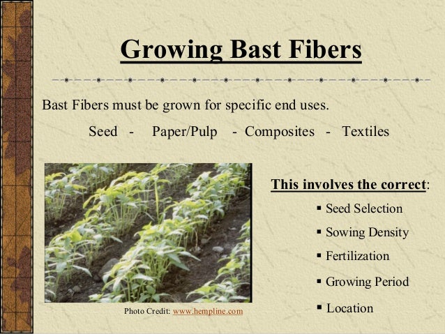 Bast fiber