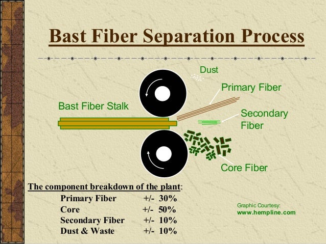 Bast fiber