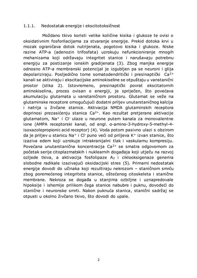 DIPLOMSKI RAD | DOCX