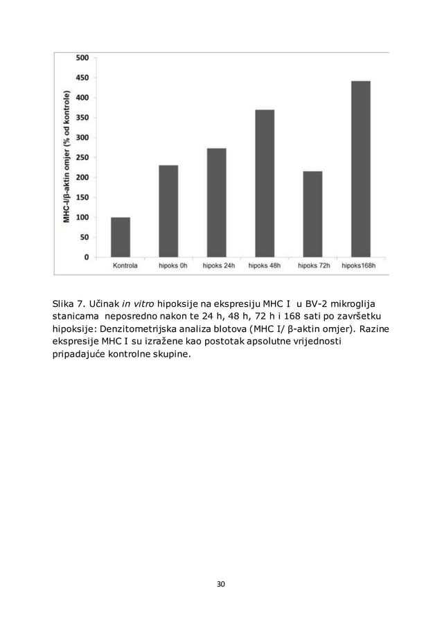 DIPLOMSKI RAD | DOCX