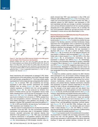 Tabata Petitt et al. | PDF | Pregnancy | Reproductive Health