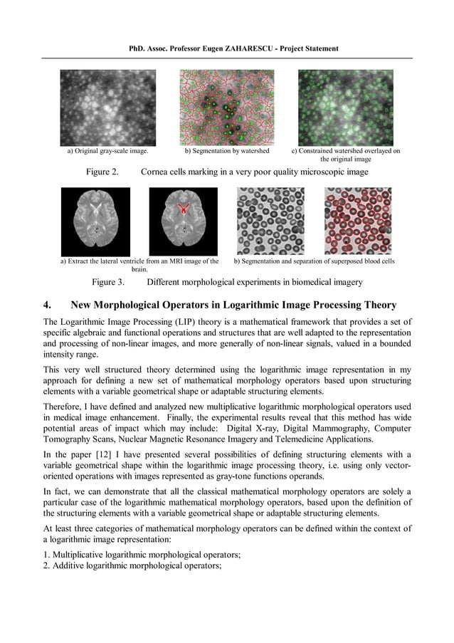 Eugen Zaharescu-PROJECT STATEMENT-Morphological Medical Image Indexing and Classification in ...