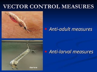 C07 P06 MALARIA PREVENTION and management | PPT | Infectious Diseases ...