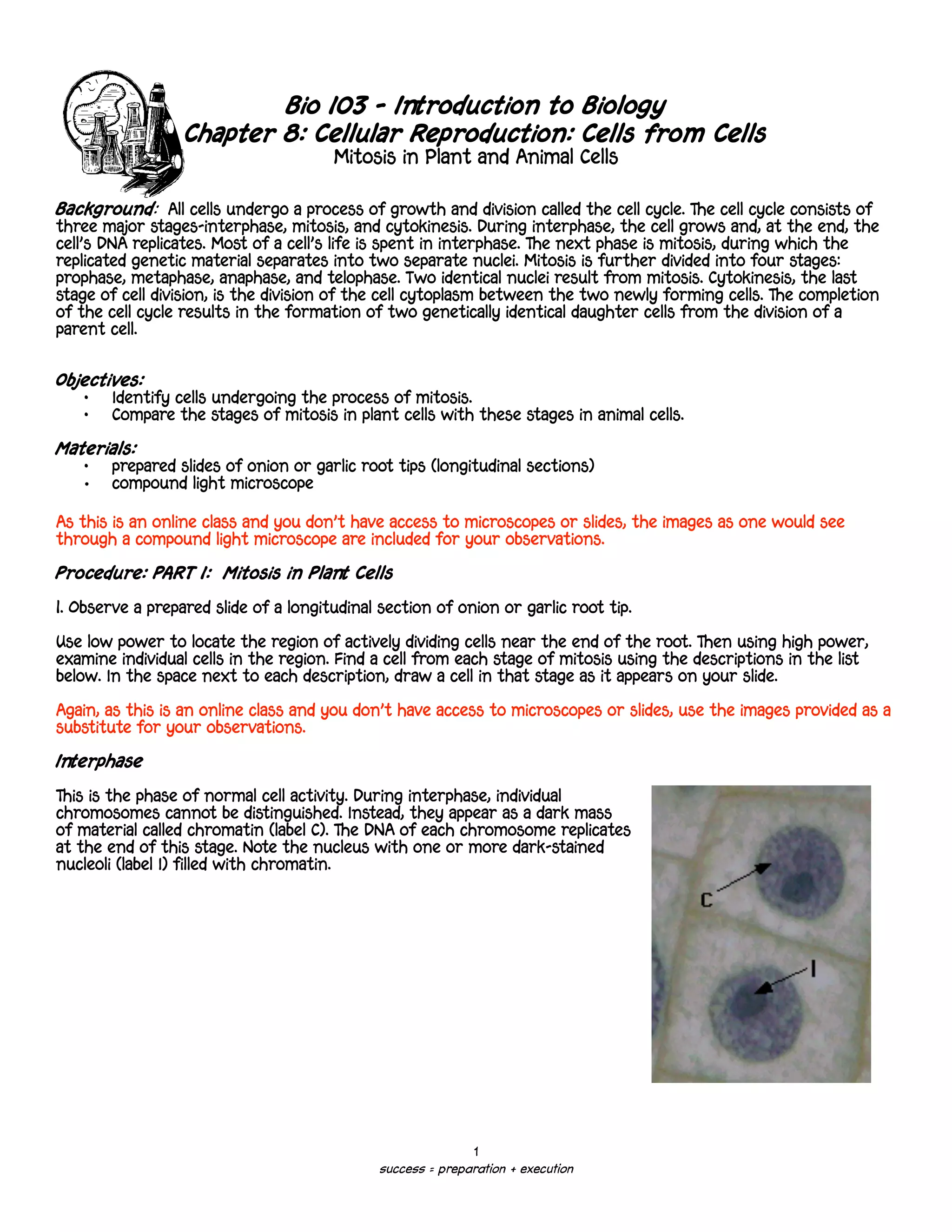 C08 Mitosis[1] | PDF