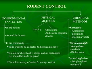 Community Medicine PLAGUE PREVENTION.ppt