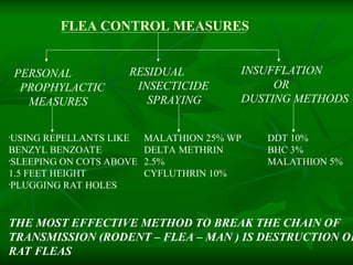 Community Medicine PLAGUE PREVENTION.ppt