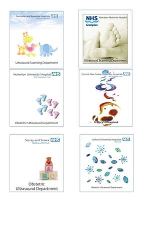 Snapper Design Examples | DOCX