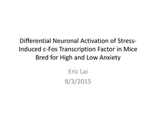 C-Fos Labmeeting Presentation | PPT
