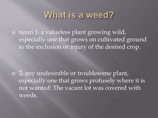 Principles of Weed Management | PPTX