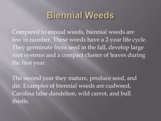 Principles of Weed Management | PPTX