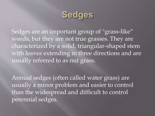 Principles of Weed Management | PPTX