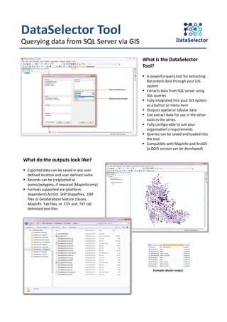 DataSelector Tool | PDF
