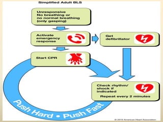 C0D5ABD2-BCLS-modified1.ppt