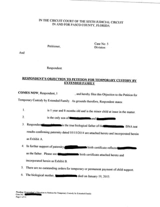 Family Law: Objection to Petition for Custody by Extended Family Member ...