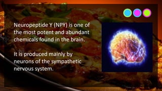 4 Main Effects of Neuropeptide Y in Our Body | PPT