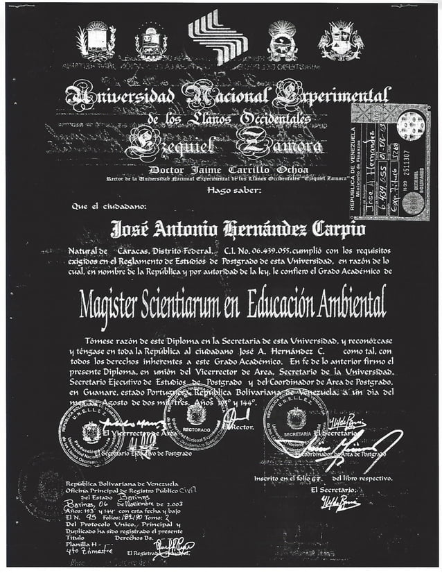 Magister Sc Diploma | PDF