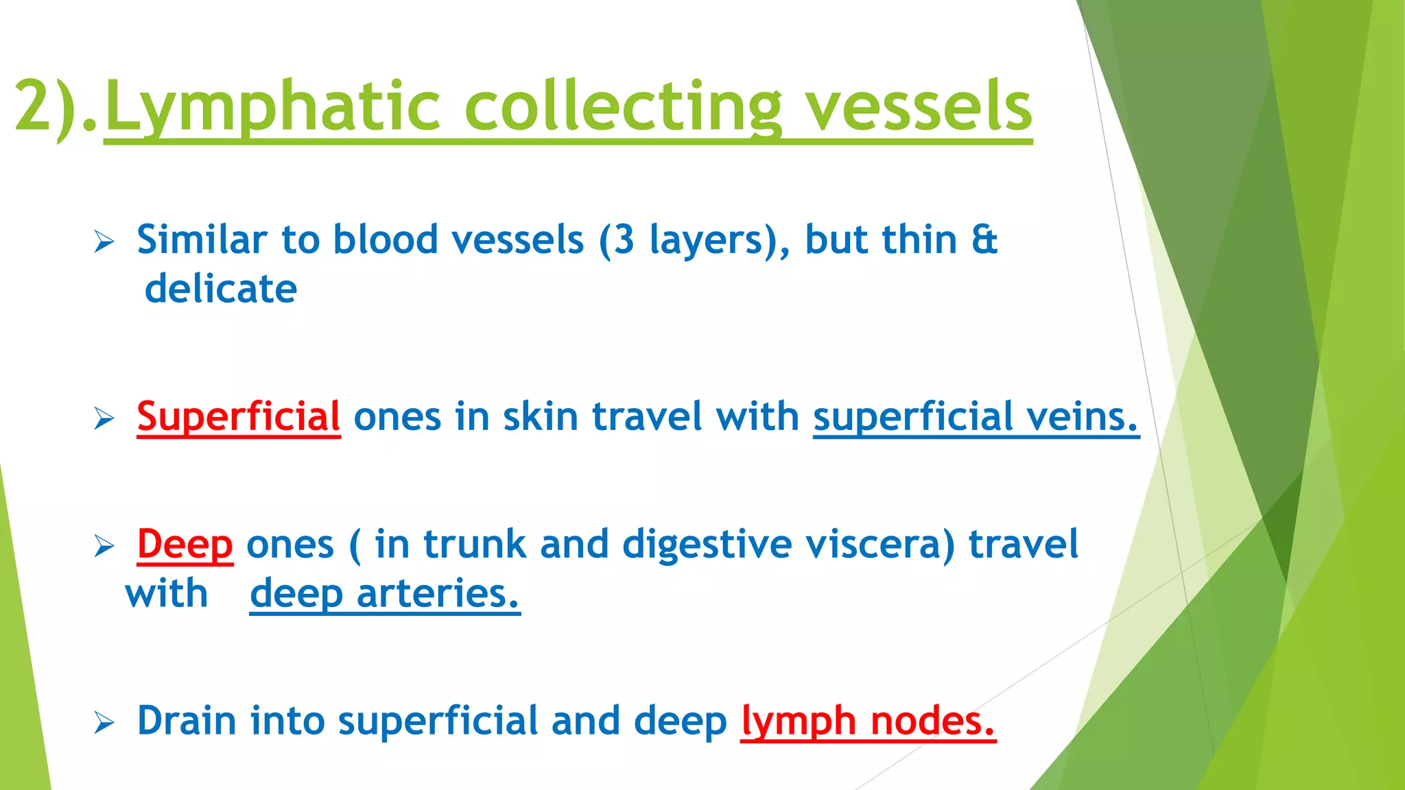 Lymphatic. anatomy | PPTX