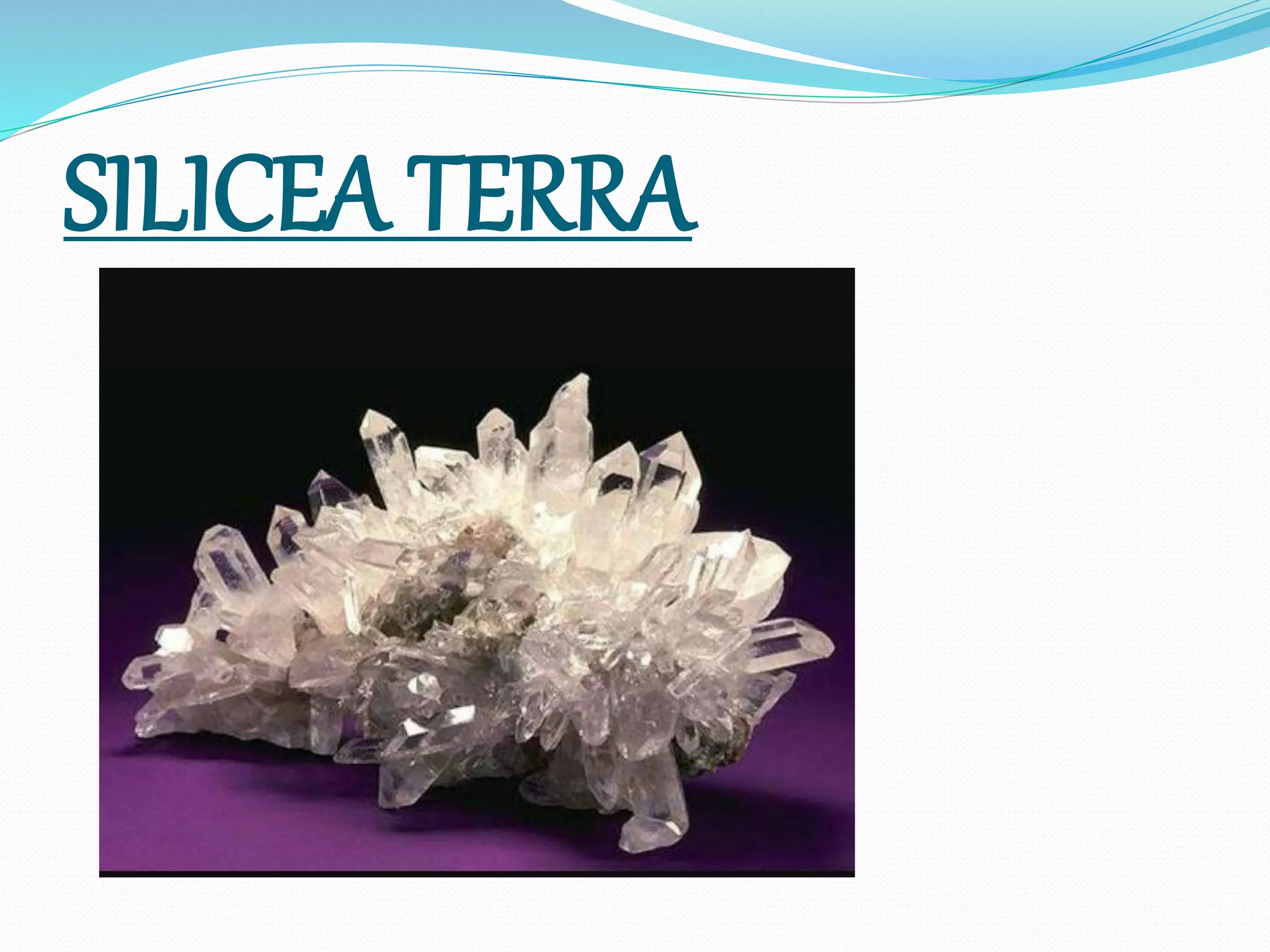 HOMOEOPATHIC MEDICINE SILICIA | PPTX