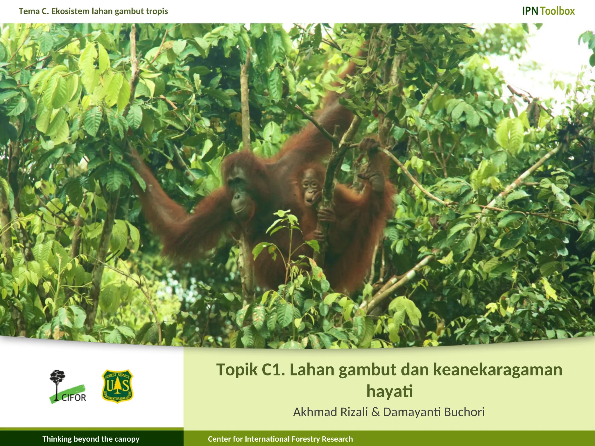 C1 gambut indonesia dan penggunaanya.ppt