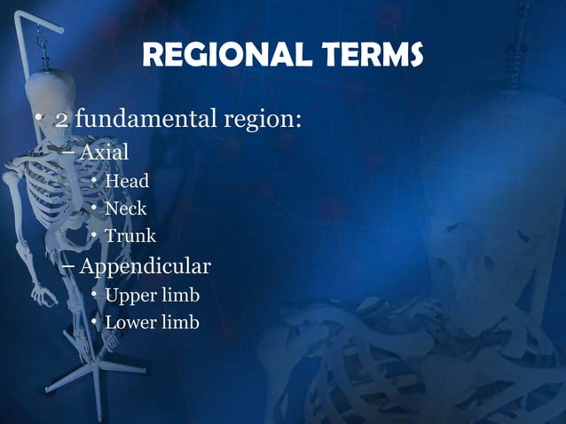 anatomical terms | PPT