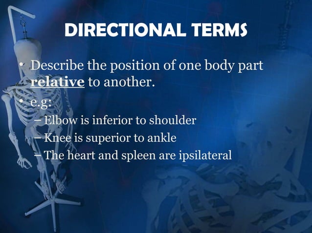 anatomical terms | PPT