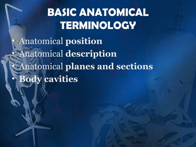 anatomical terms | PPT
