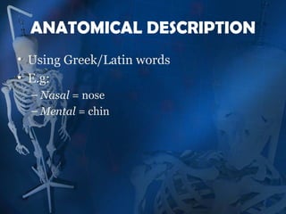 anatomical terms | PPT