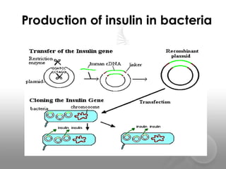 Recombinant DNA Technology | PDF