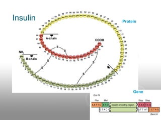 Recombinant DNA Technology | PDF