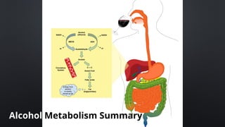 C1-Physiology-of-alcohol-types-of-alcohol.pptx