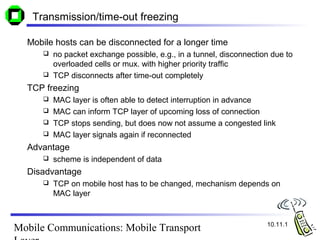 C10 transport protocols | PPT