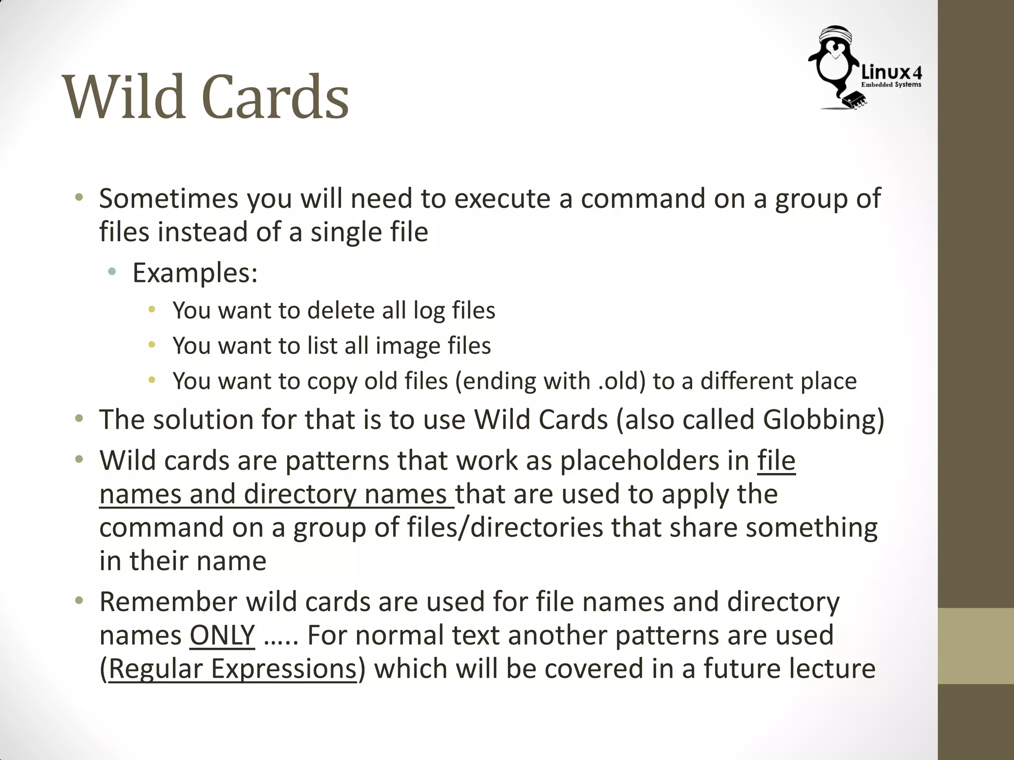 Course 102: Lecture 4: Using Wild Cards | PDF