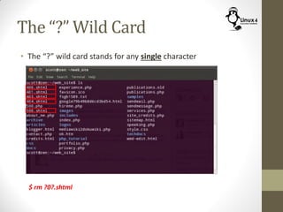 Course 102: Lecture 4: Using Wild Cards | PDF