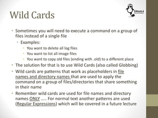 Course 102: Lecture 4: Using Wild Cards | PDF