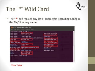 Course 102: Lecture 4: Using Wild Cards | PDF
