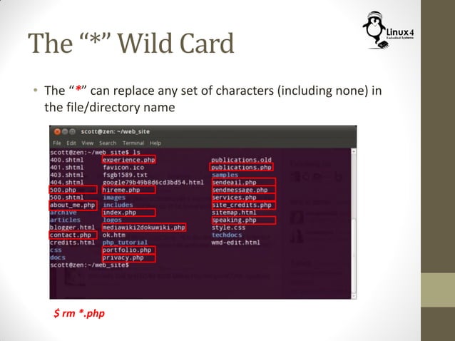Course 102: Lecture 4: Using Wild Cards | PDF
