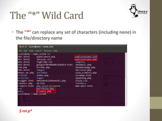 Course 102: Lecture 4: Using Wild Cards | PDF