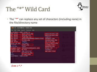 Course 102: Lecture 4: Using Wild Cards | PDF