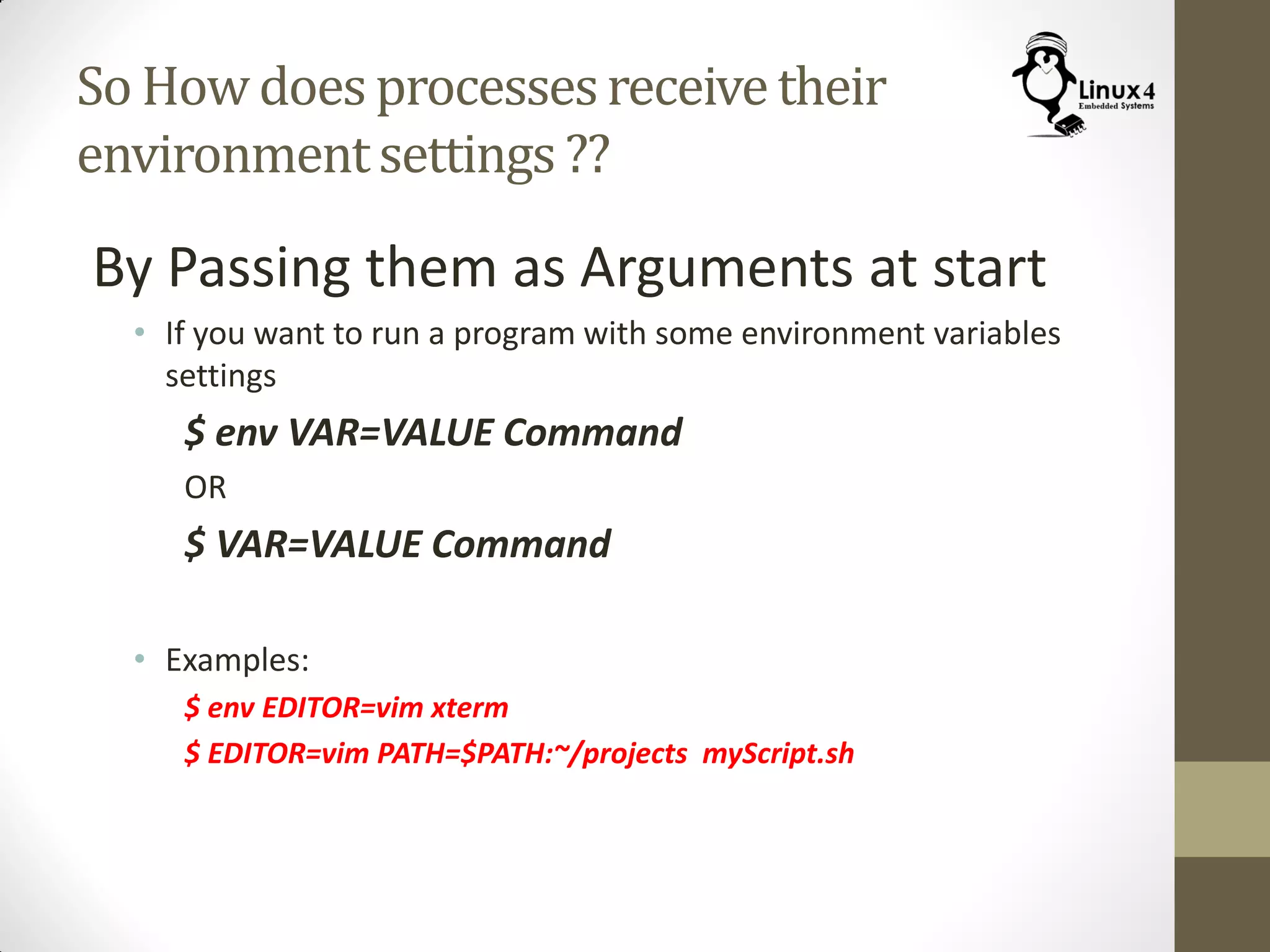 Course 102: Lecture 11: Environment Variables | PDF
