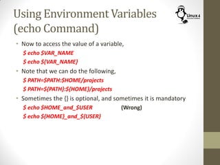 Course 102: Lecture 11: Environment Variables | PDF