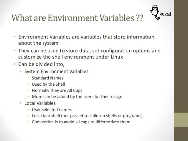 Course 102: Lecture 11: Environment Variables