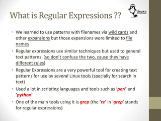 Course 102: Lecture 13: Regular Expressions | PDF | Internet for Beginners | Internet